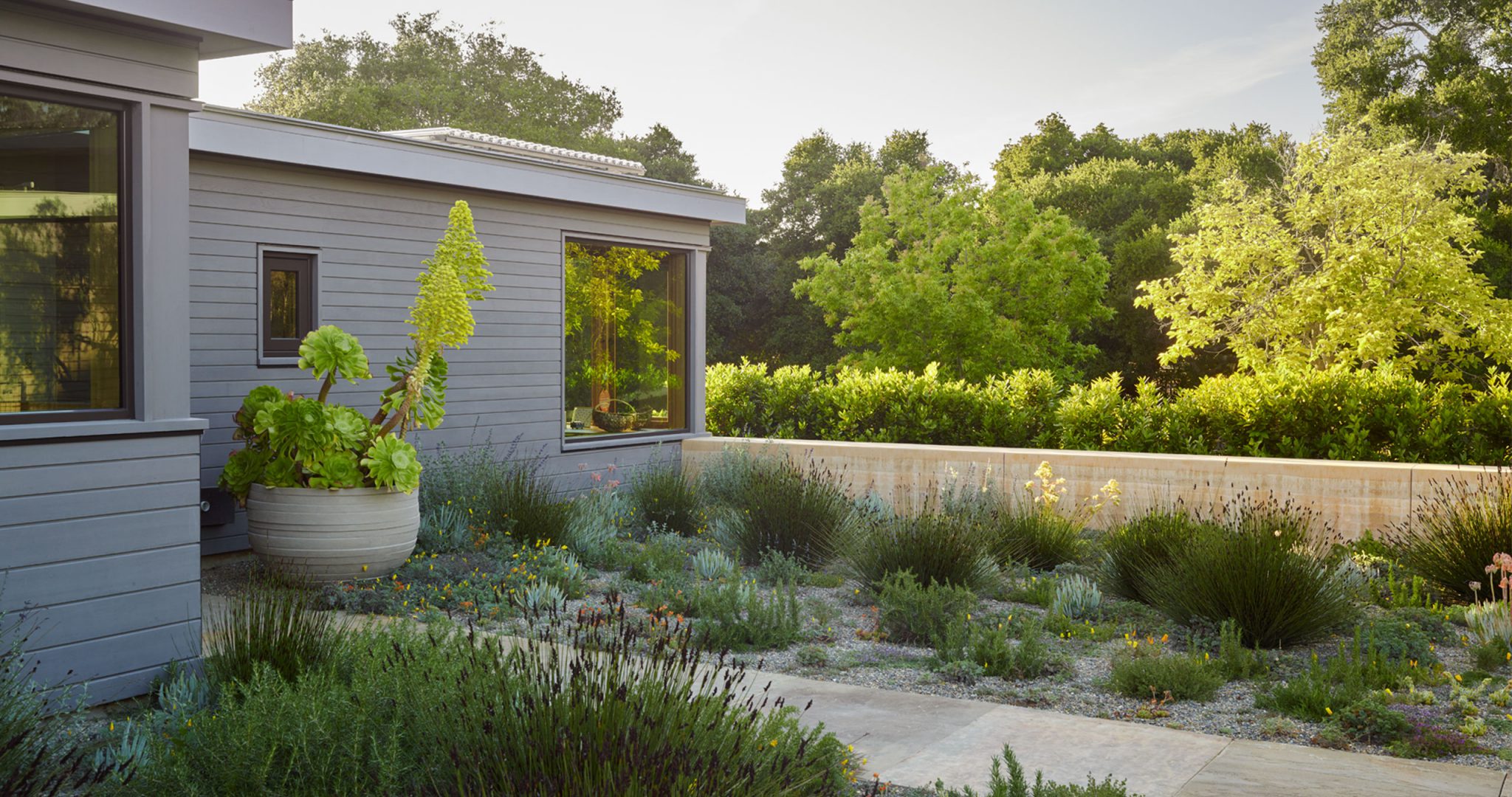 REFUGIO | Ground Studio