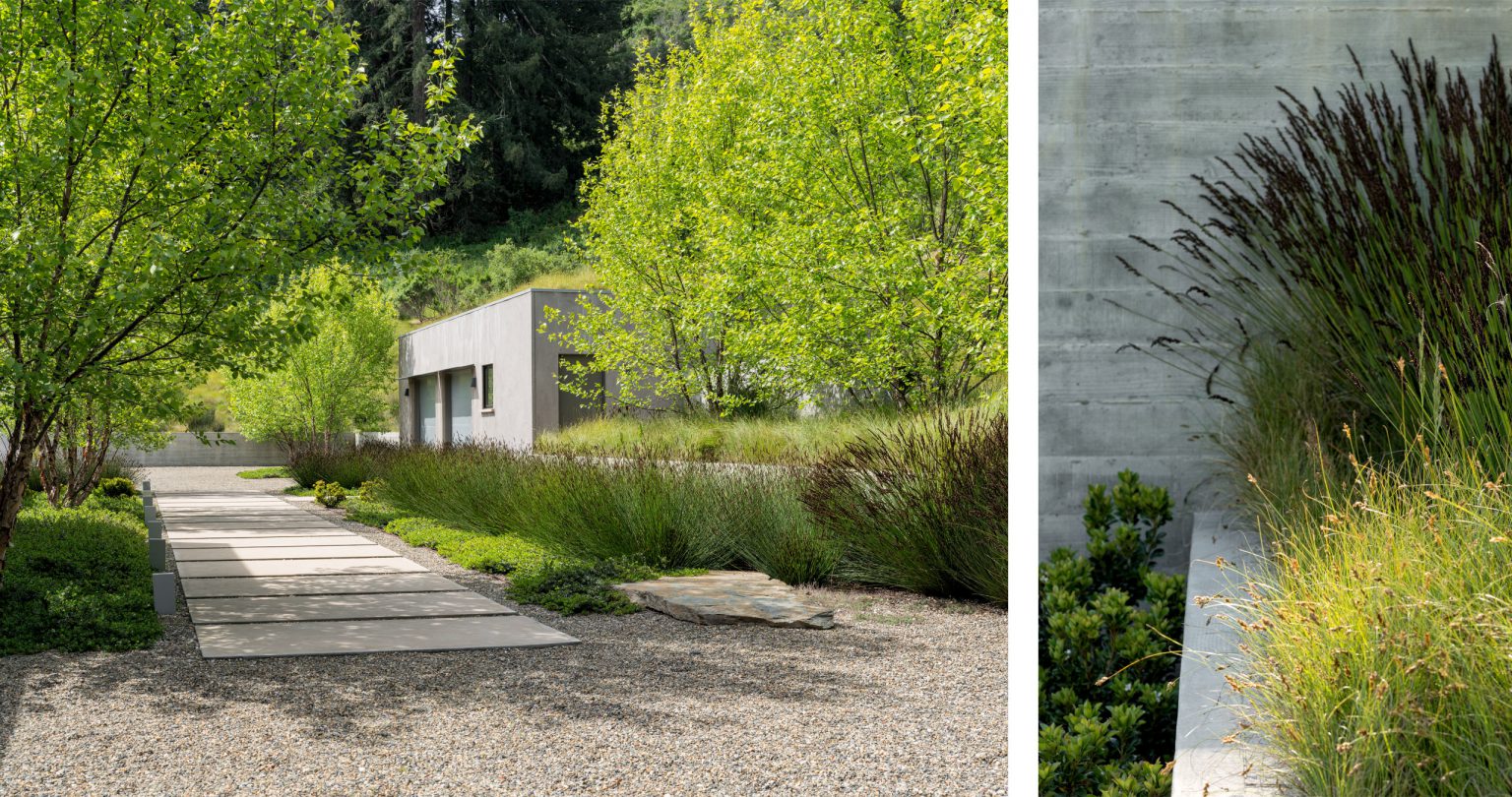 RANCHO 7 | Ground Studio