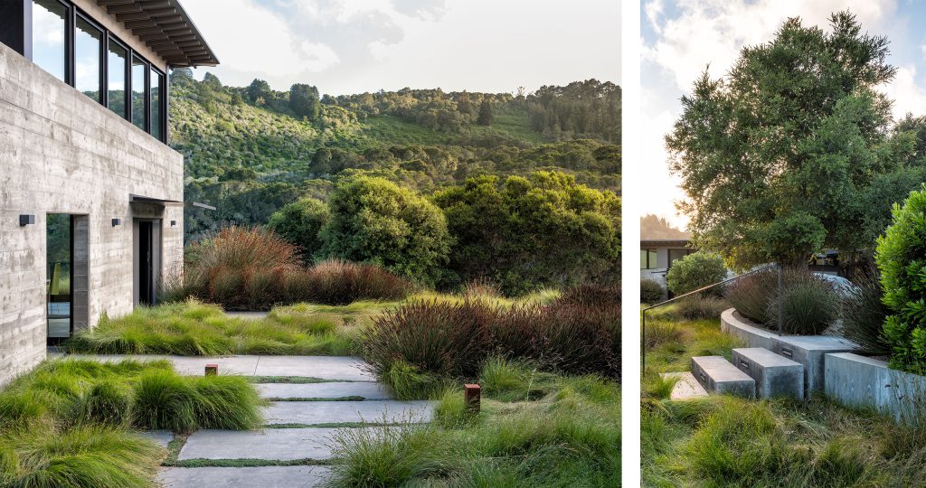 BUTTERFLY HOUSE | Ground Studio