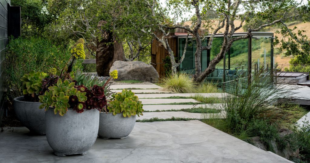 FALCON RIDGE | Ground Studio